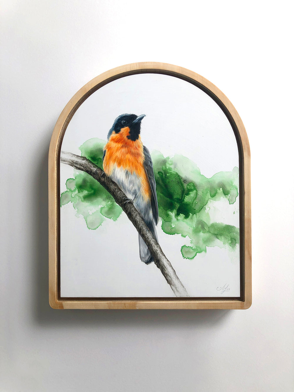 Alex Louisa - Artist