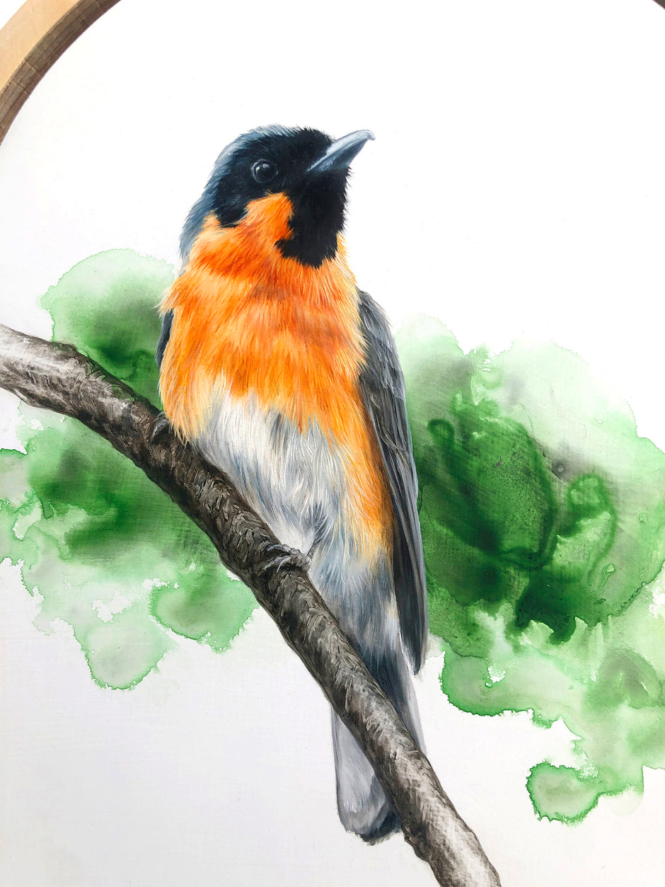 Alex Louisa - Artist