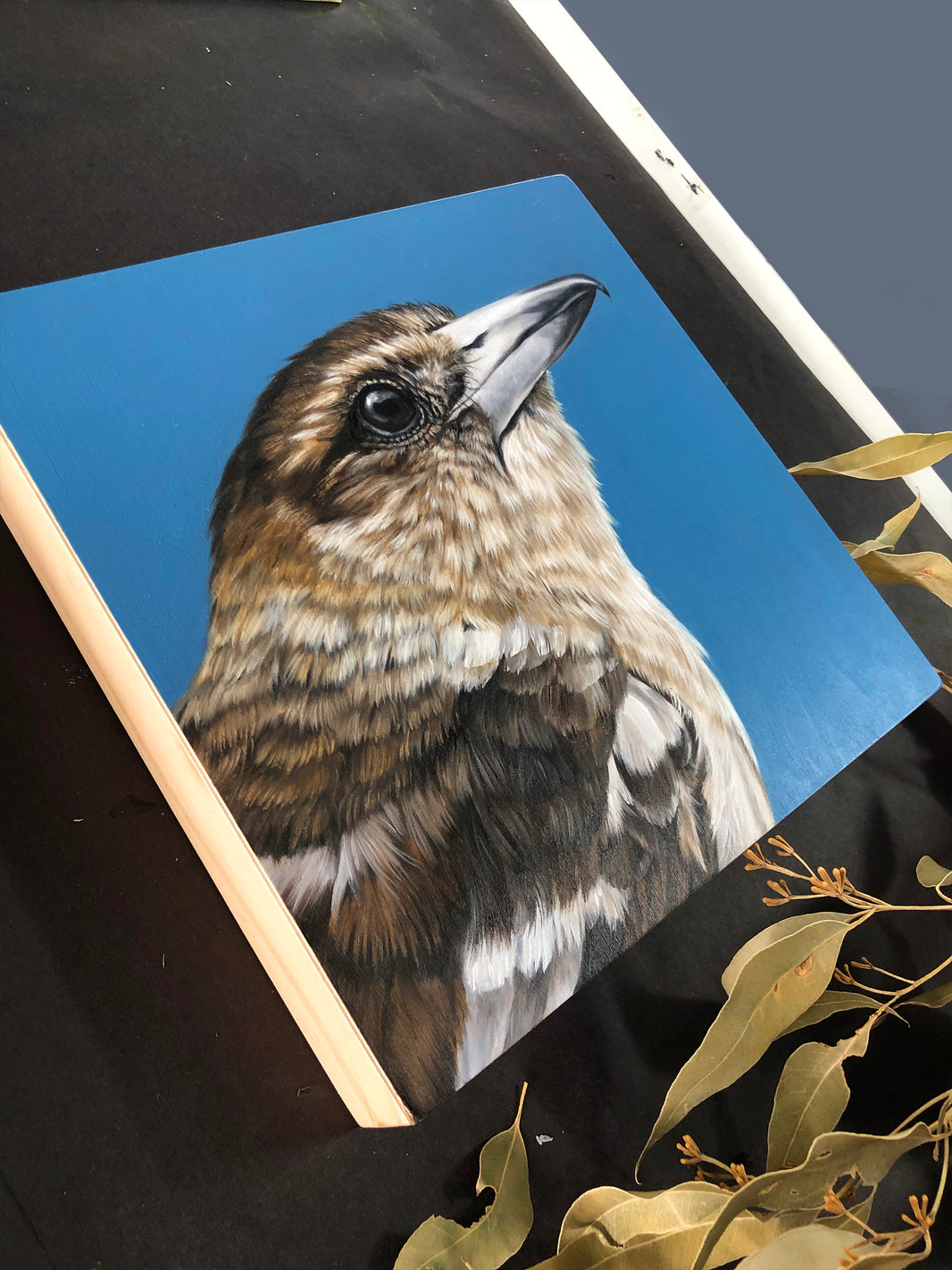 Alex Louisa - Artist