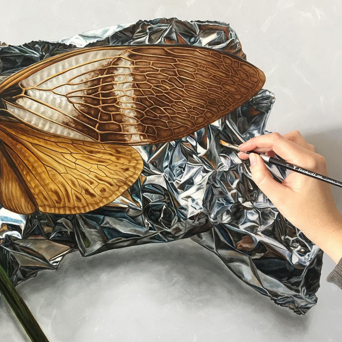 Alex Louisa - Artist