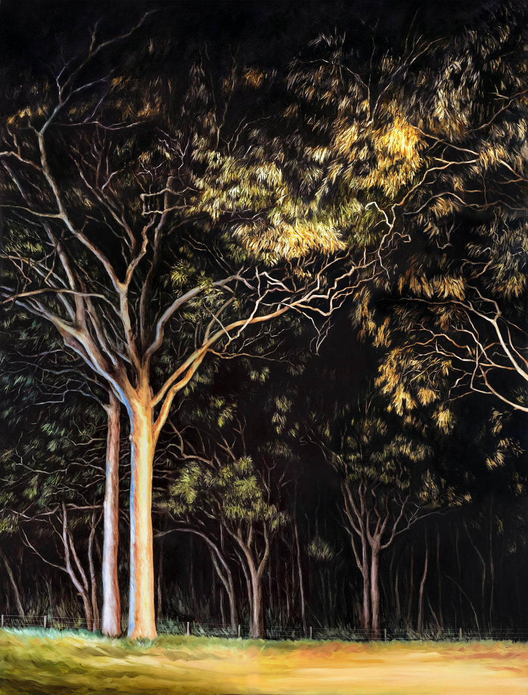 Alex Louisa - Artist