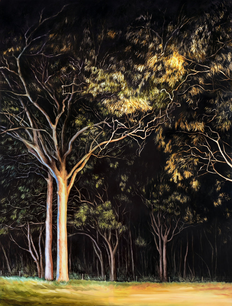 Alex Louisa - Artist